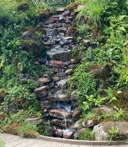 Visit to RHS Chelsea 2025 - Byther Farm